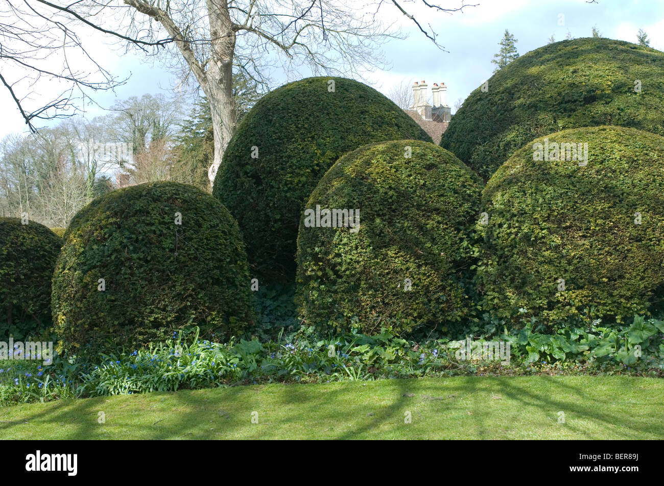 Conservation of hedges hi-res stock photography and images - Alamy