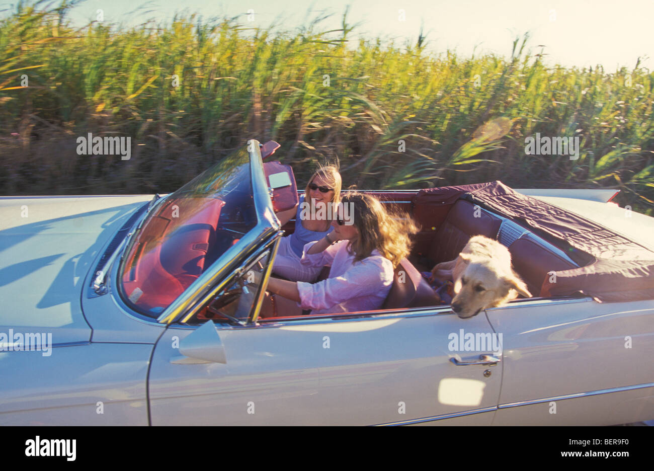 Female convertible car wind hi-res stock photography and images - Alamy