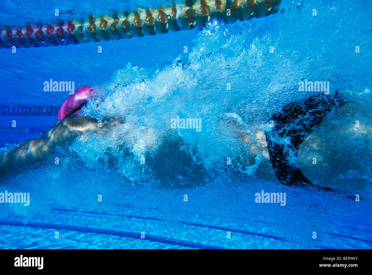 Man diving into swimming pool Stock Photo - Alamy