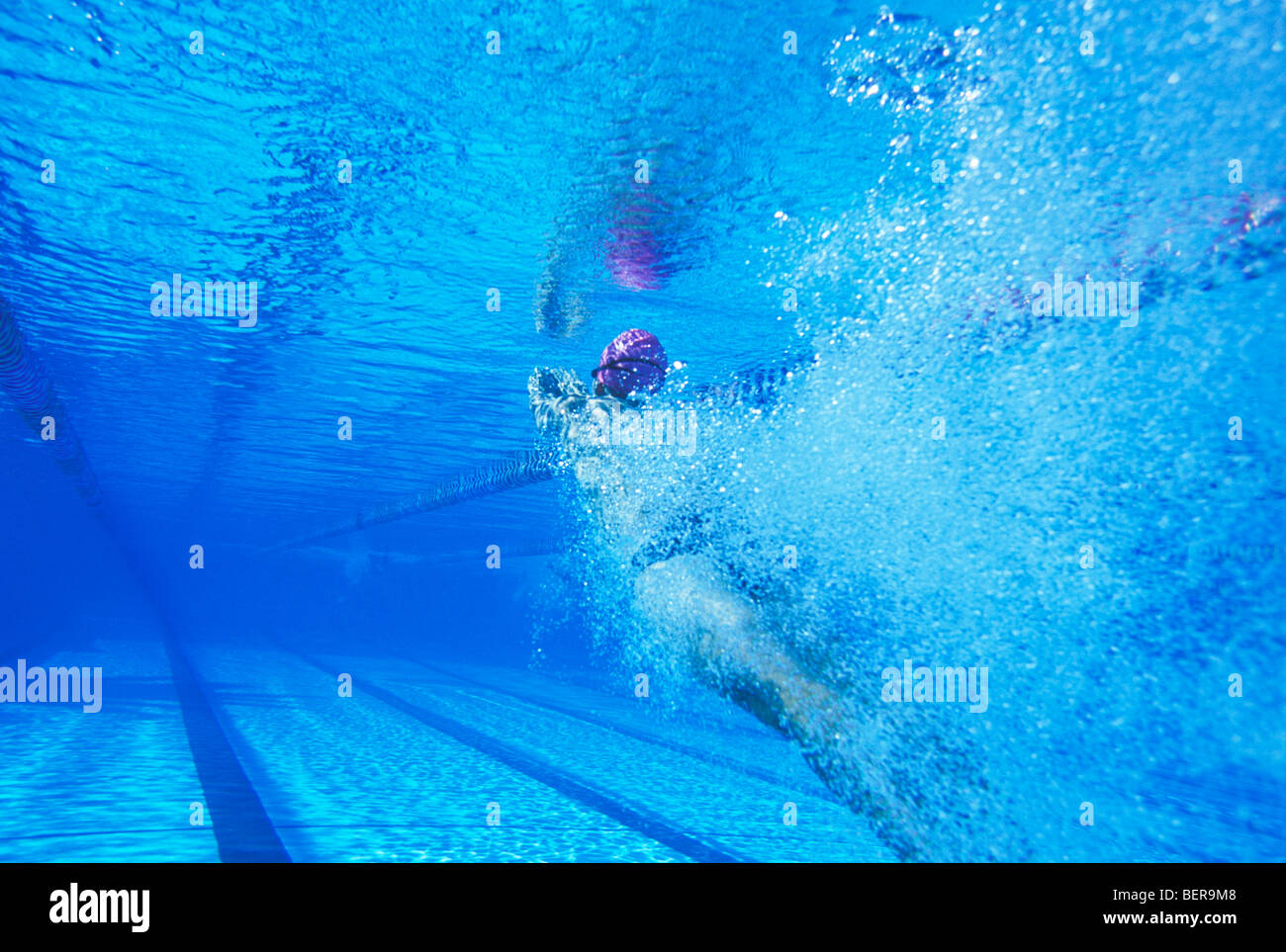 Man diving into swimming pool Stock Photo - Alamy