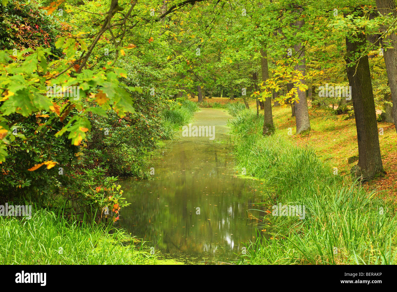 Quiet still water and autumn trees Stock Photo - Alamy