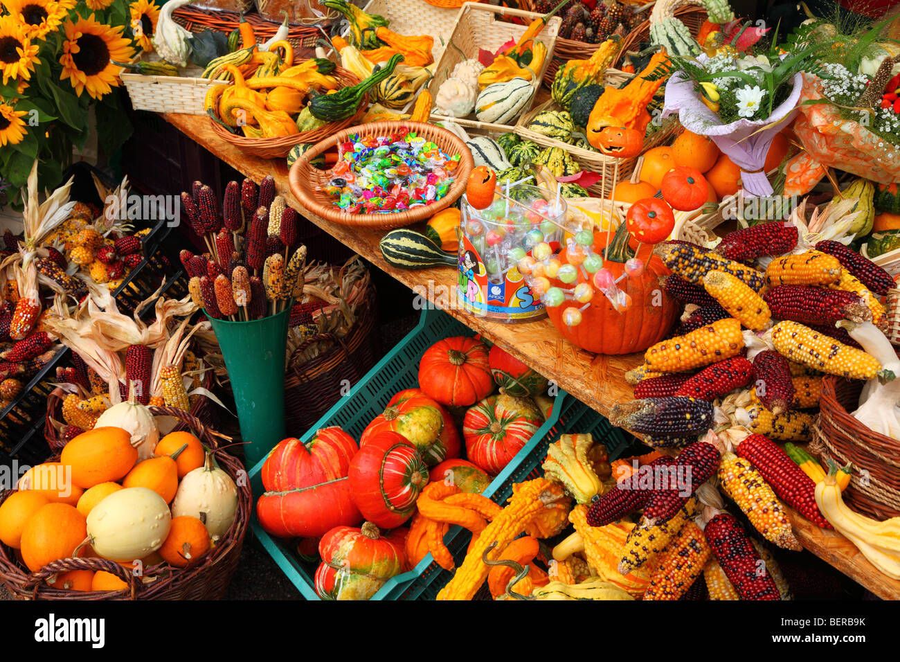 Multicolor pumpkins displayed on a stall Stock Photo - Alamy
