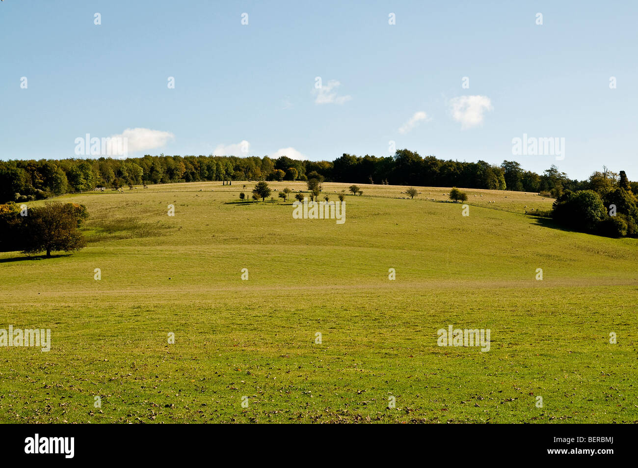 Open countryside hi-res stock photography and images - Alamy