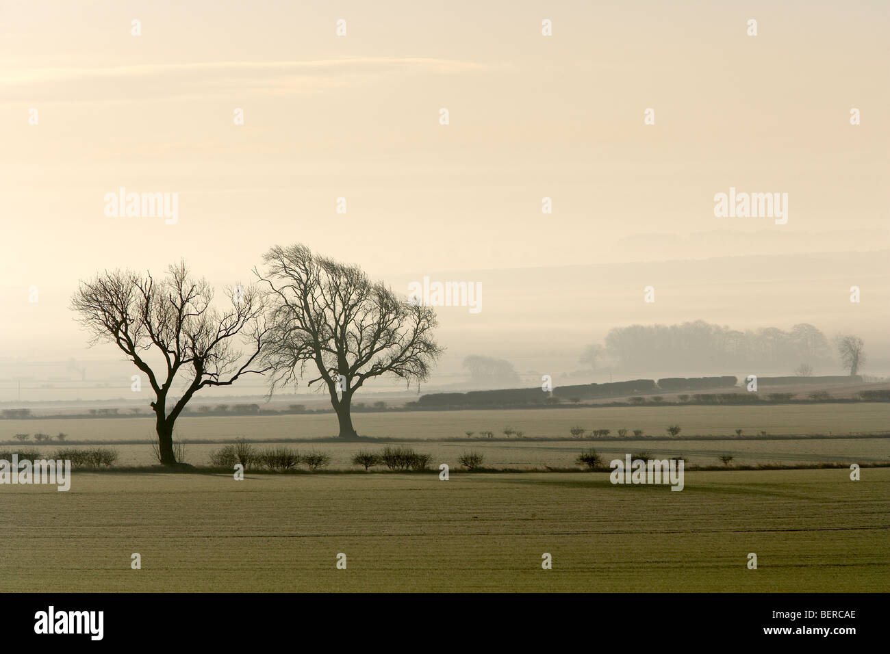 Sunrise and misty morning over arable farm land, East Yorkshire Wolds ...