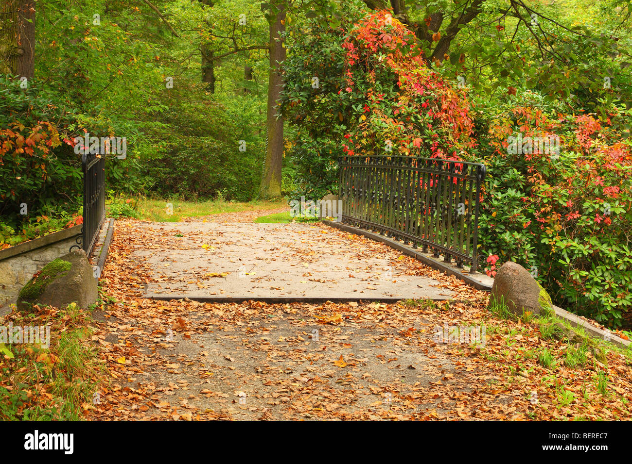 Old Bridge in autumn Stock Photo - Alamy