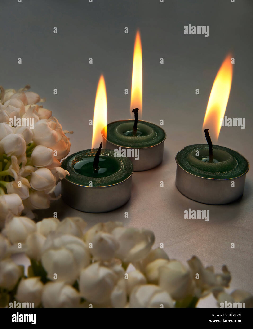 Woman eye glasses design hi-res stock photography and images - Alamy