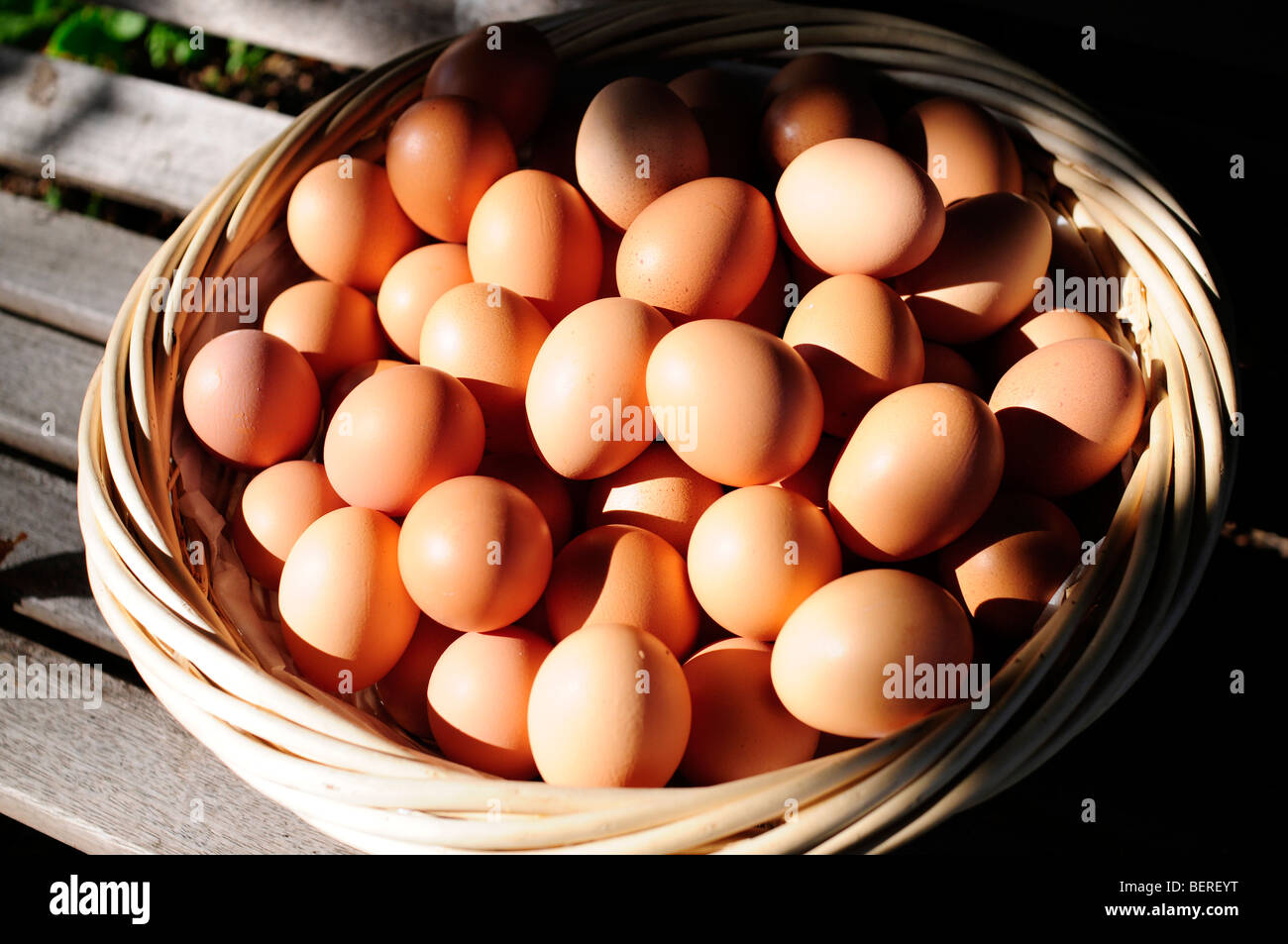 Hen eggs hi-res stock photography and images - Alamy
