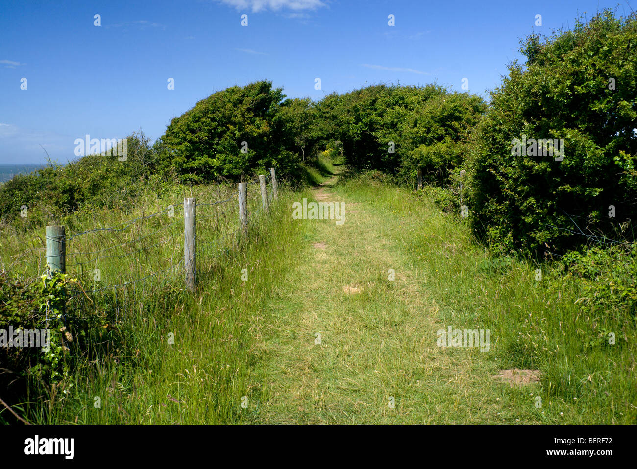 Welsh coastal footpath hi-res stock photography and images - Alamy