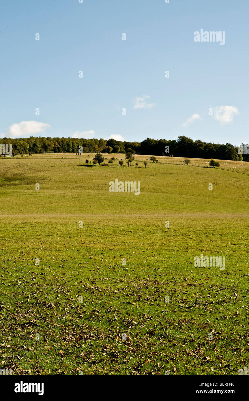 Open countryside hi-res stock photography and images - Alamy