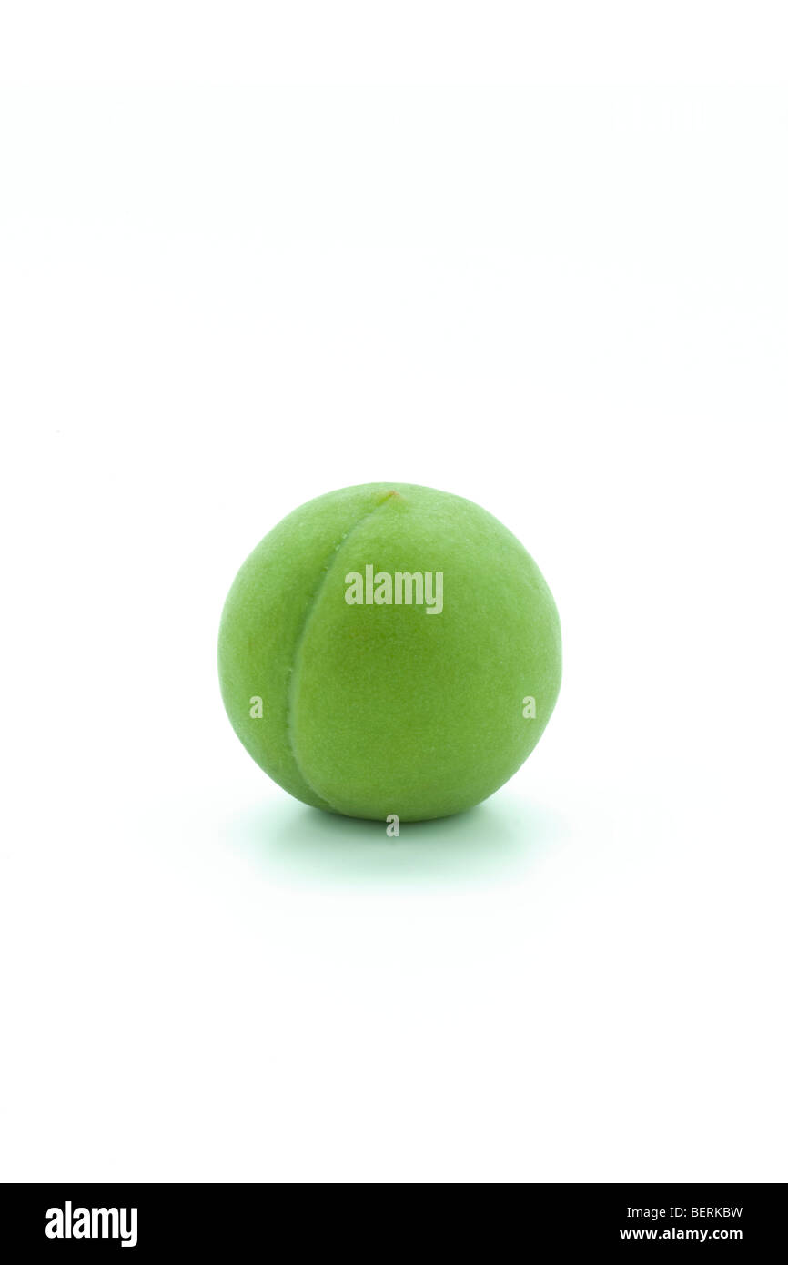 This is an image of the plum Cut Out Stock Images & Pictures - Alamy