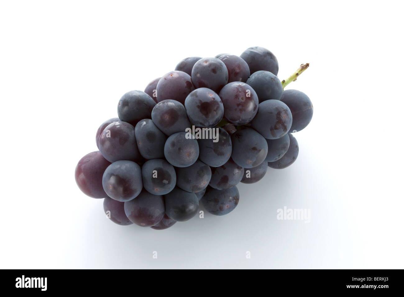 Grape pione hi-res stock photography and images - Alamy