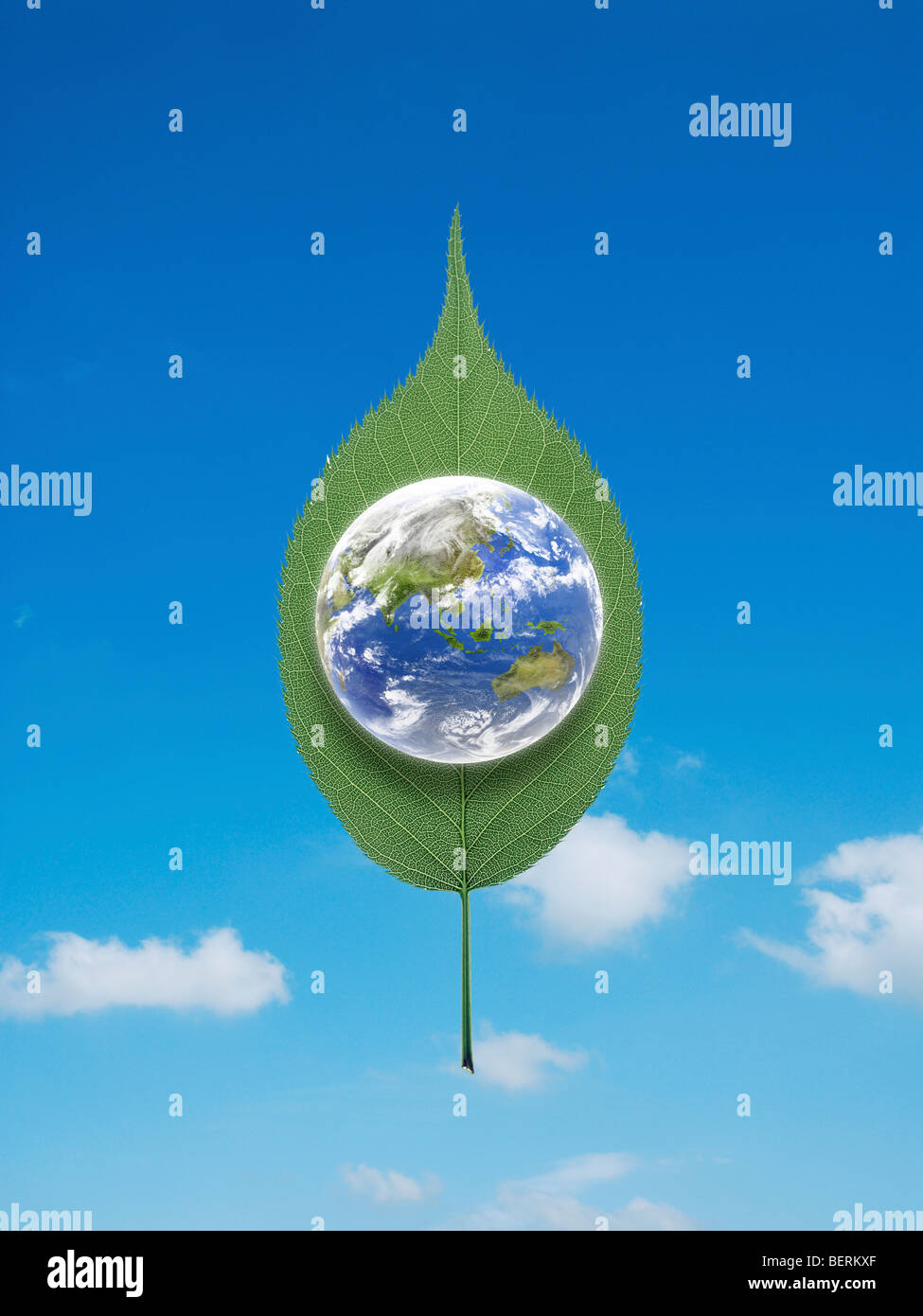 Planet earth with leaf Stock Photo - Alamy
