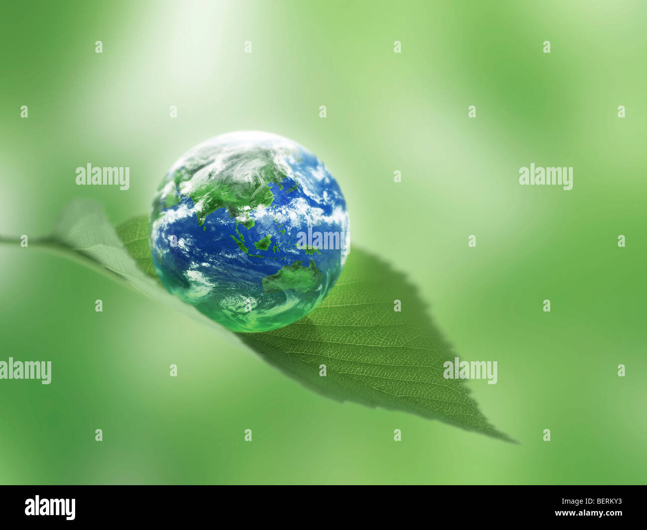 Planet earth on leaf Stock Photo - Alamy