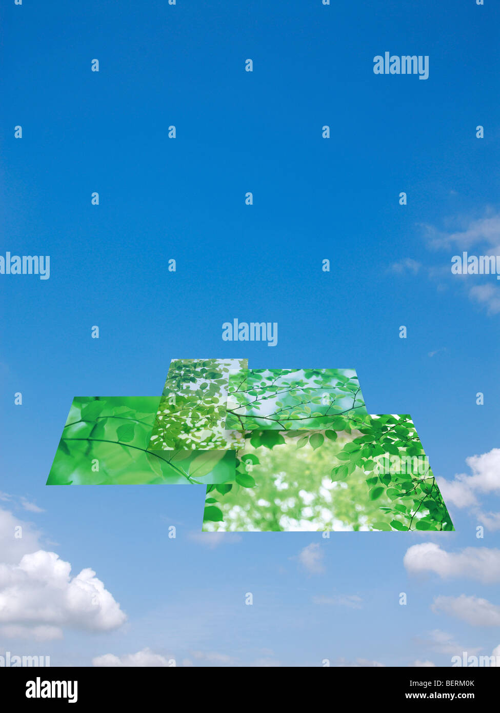 Digital composite of tree in the sky Stock Photo - Alamy