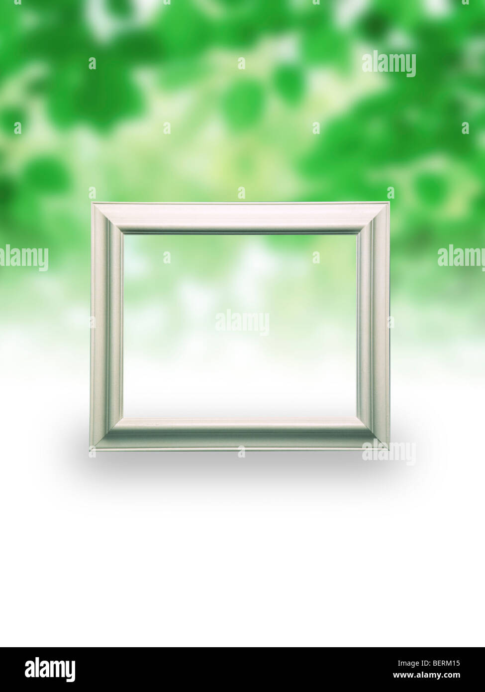 Picture frame with tree in background Stock Photo - Alamy