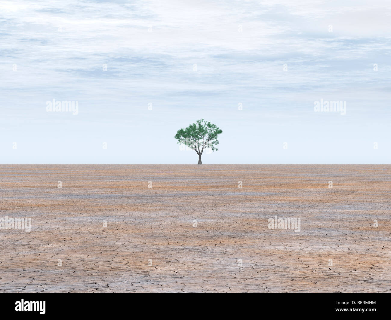 One tree in a dry earth Stock Photo - Alamy