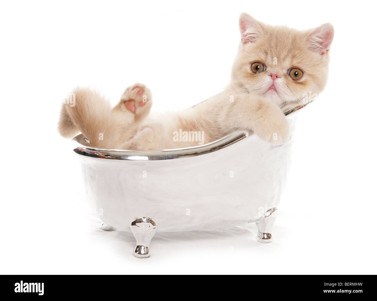 Silver bath hi-res stock photography and images - Alamy