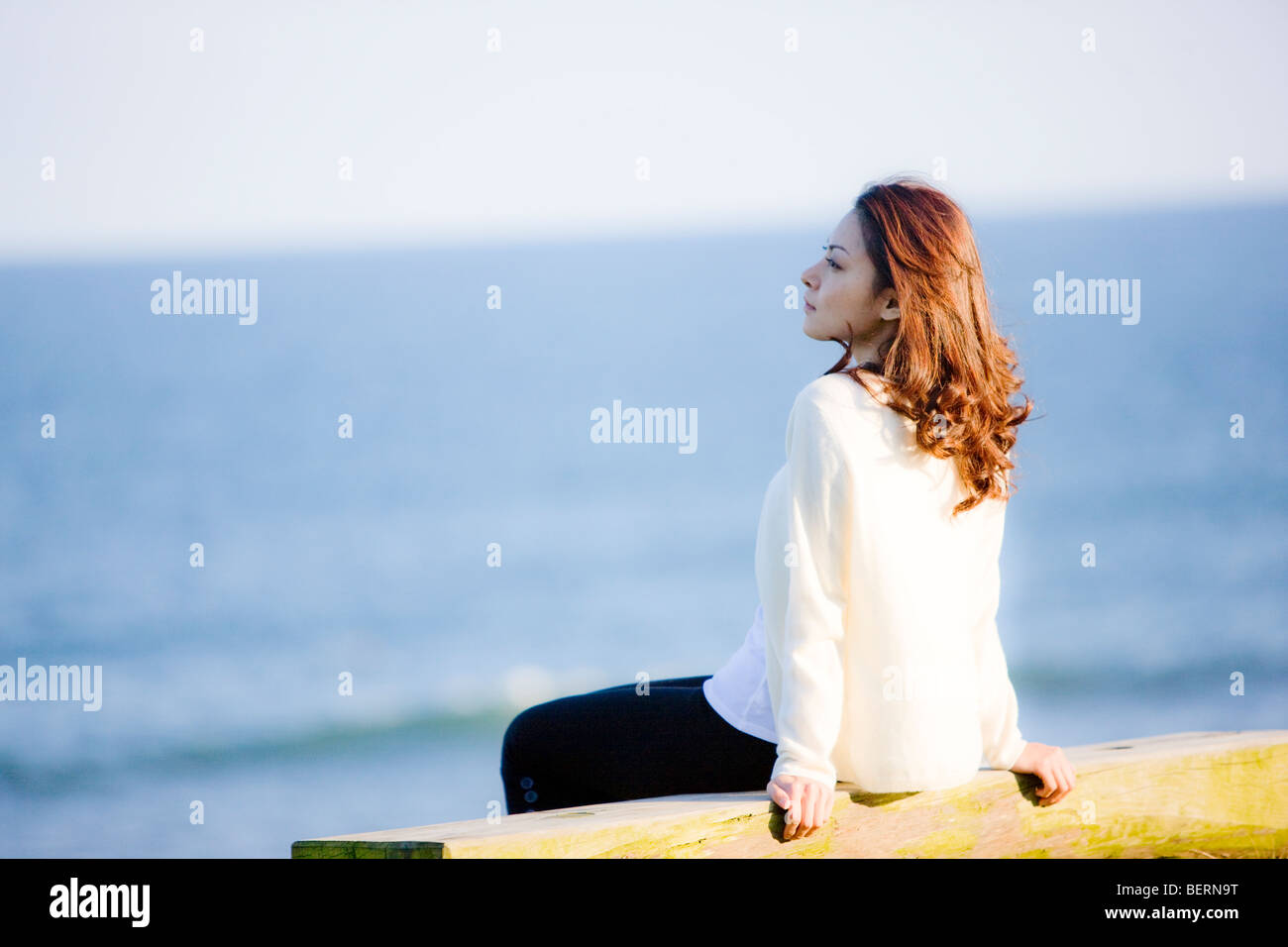Rear view of woman sitting on bench at beach hi-res stock photography ...