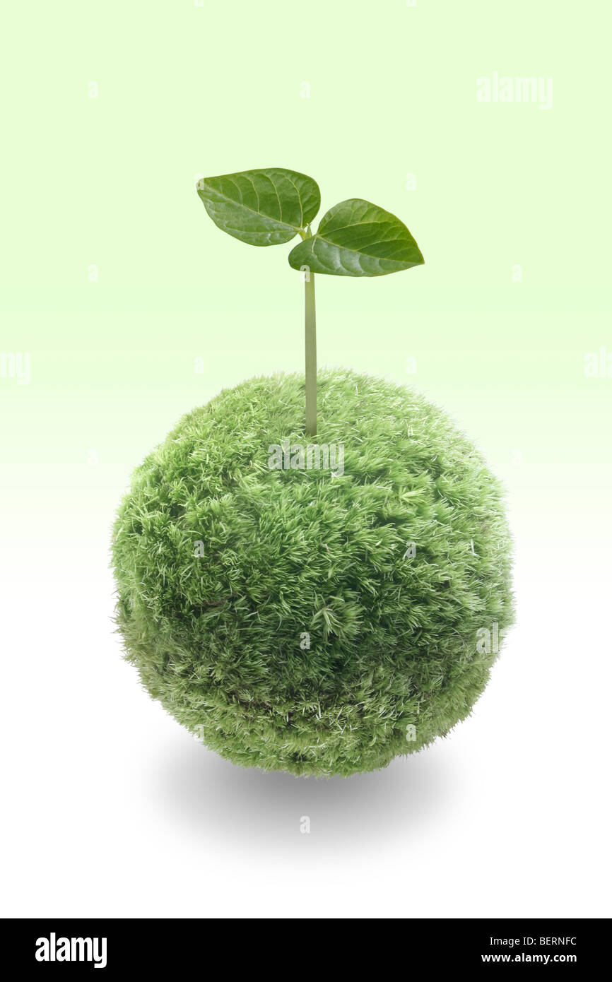 Seedling, green background Stock Photo - Alamy
