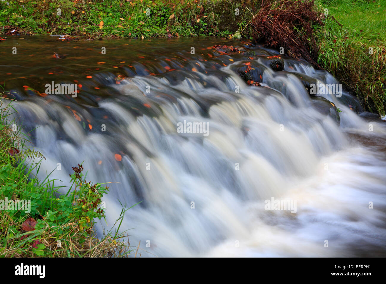 Weir in Sunnyhurst Wood in Autumn, Darwen Lancashire England UK Stock ...