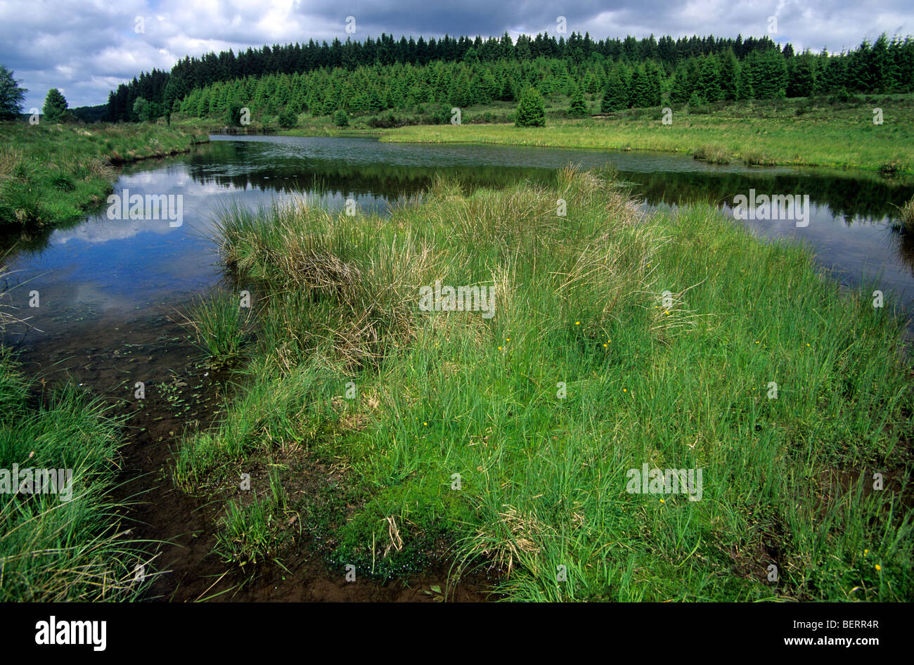 Elsenborn hi-res stock photography and images - Alamy