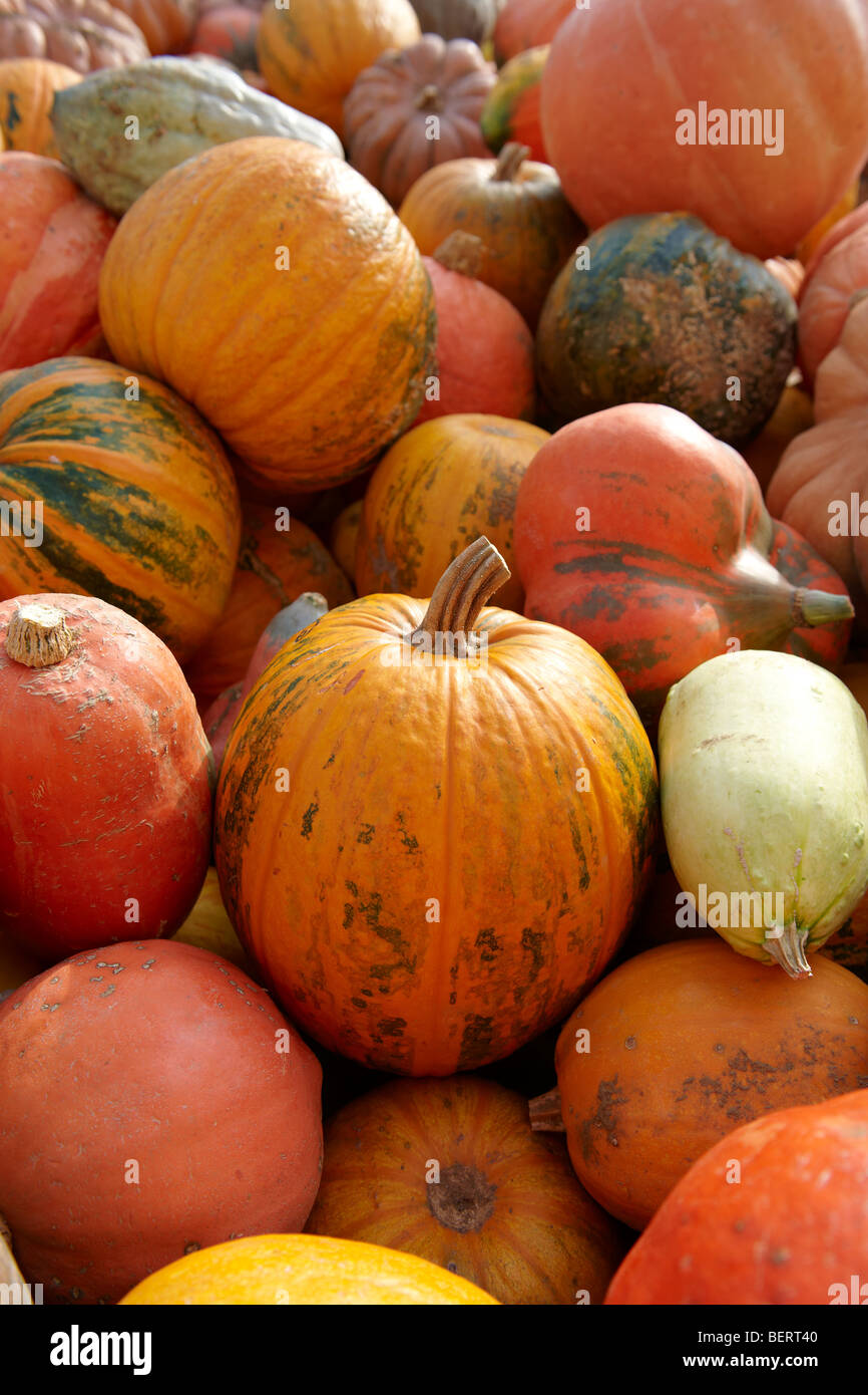 Fresh vegetabels hi-res stock photography and images - Alamy