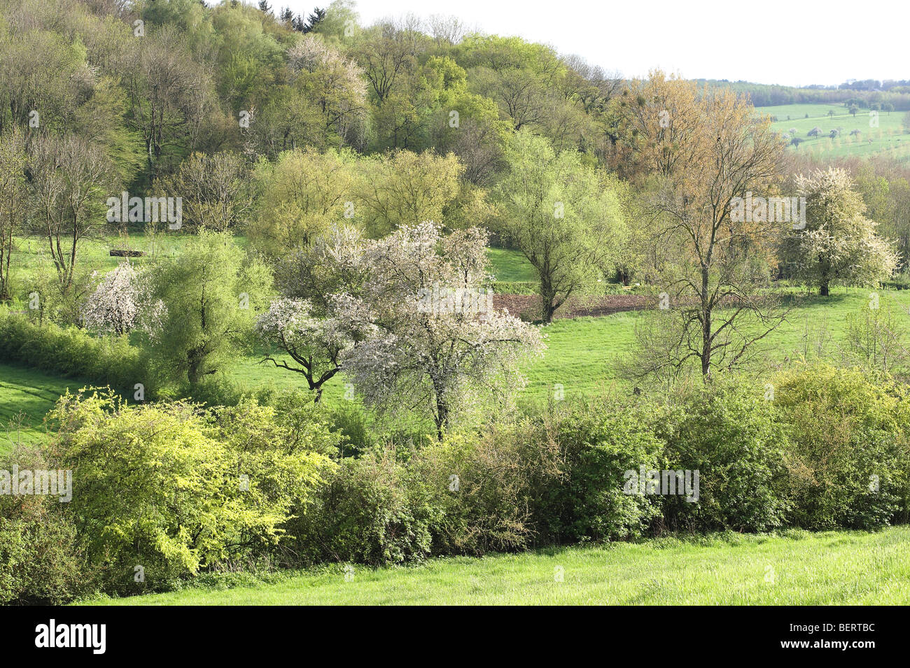 Voeren High Resolution Stock Photography and Images - Alamy