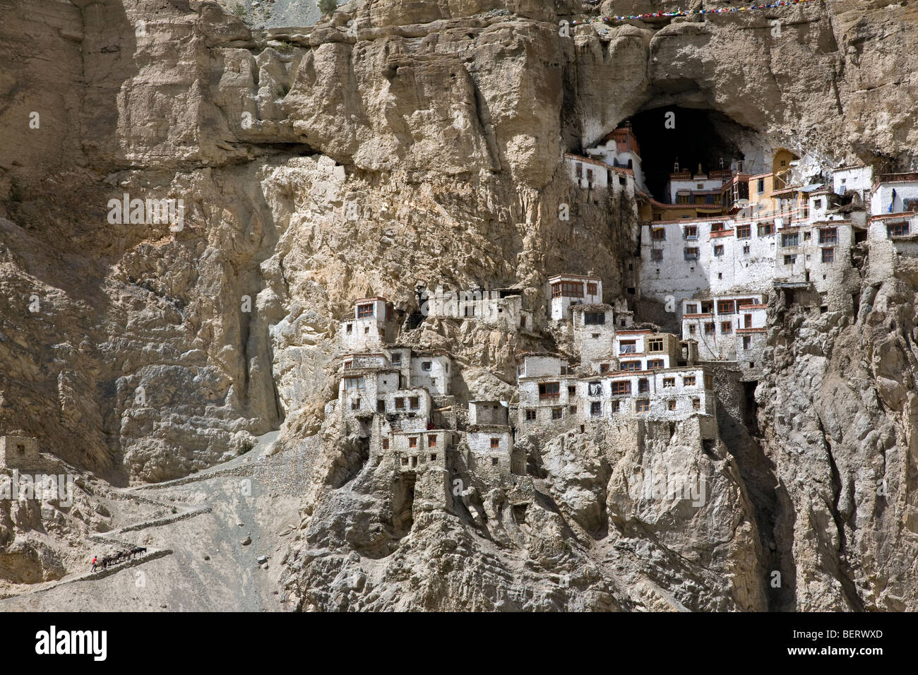 Zanskar phuktal monastery gompa hi-res stock photography and images - Alamy
