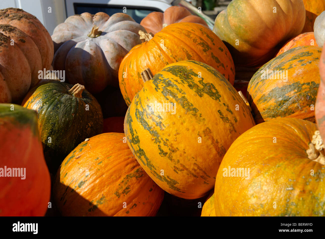 Pumpkin hi-res stock photography and images - Alamy