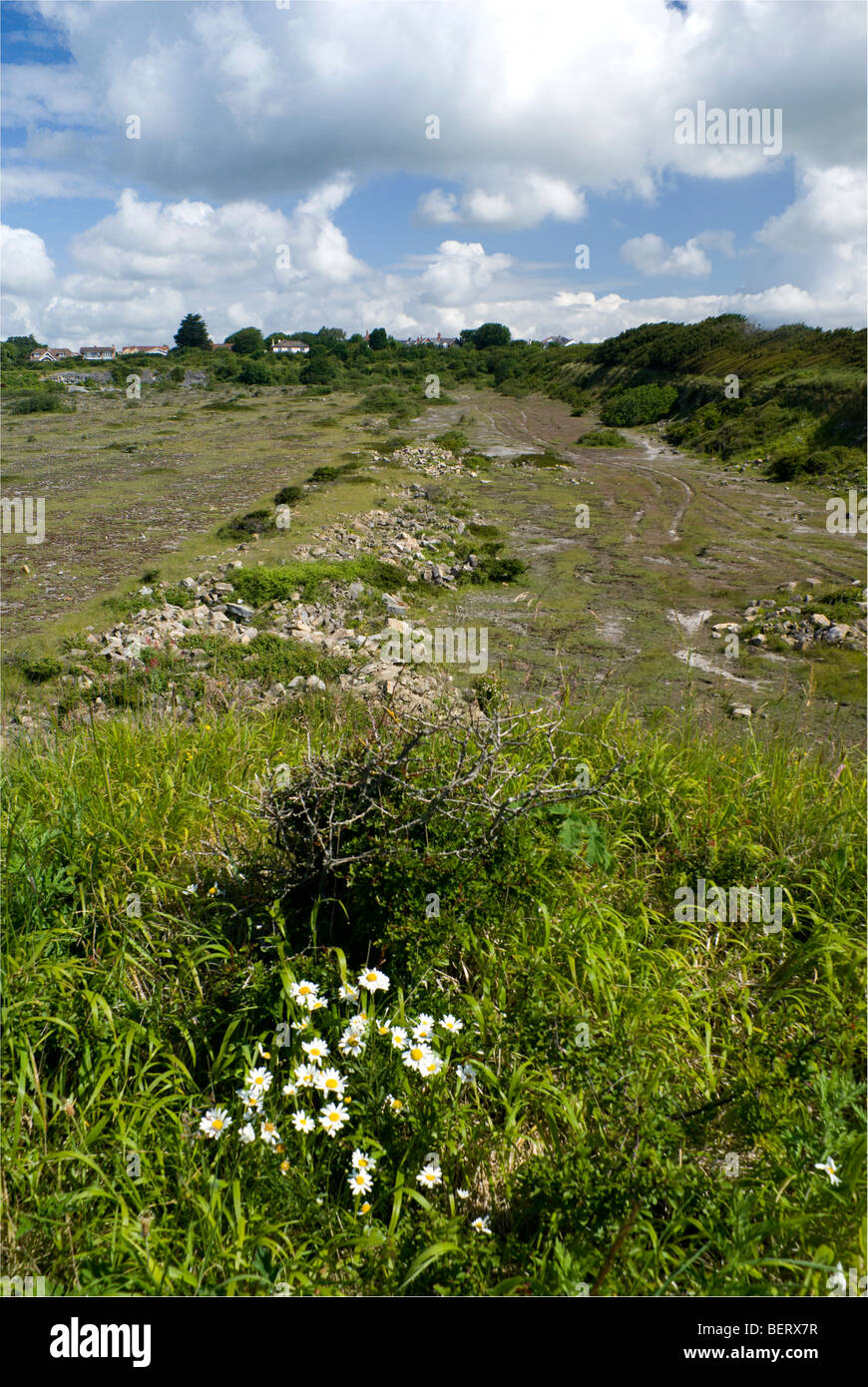 disused quarry rhoose vale of glamorgan south wales Stock Photo - Alamy