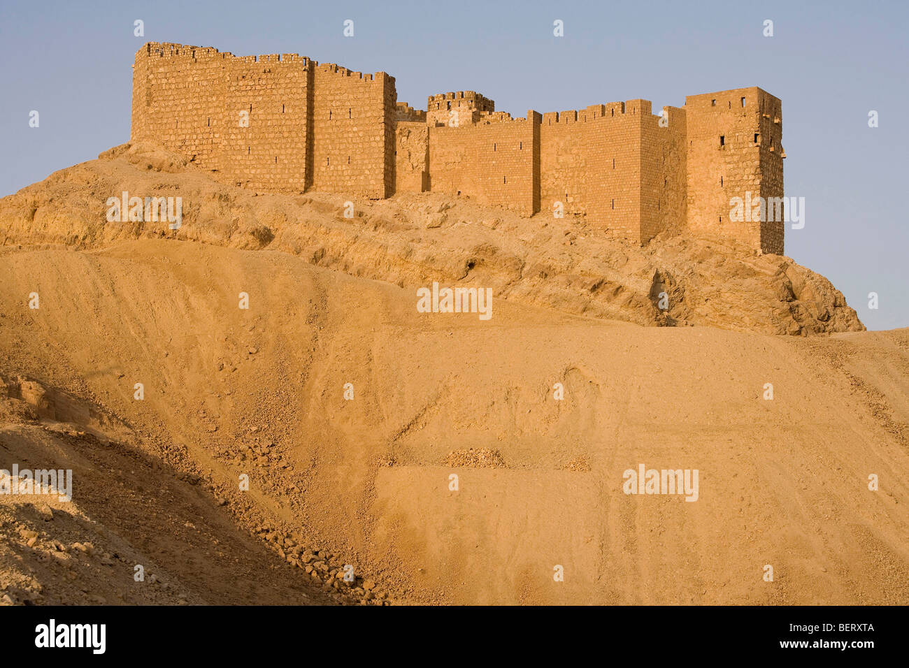 Palmyra hi-res stock photography and images - Alamy