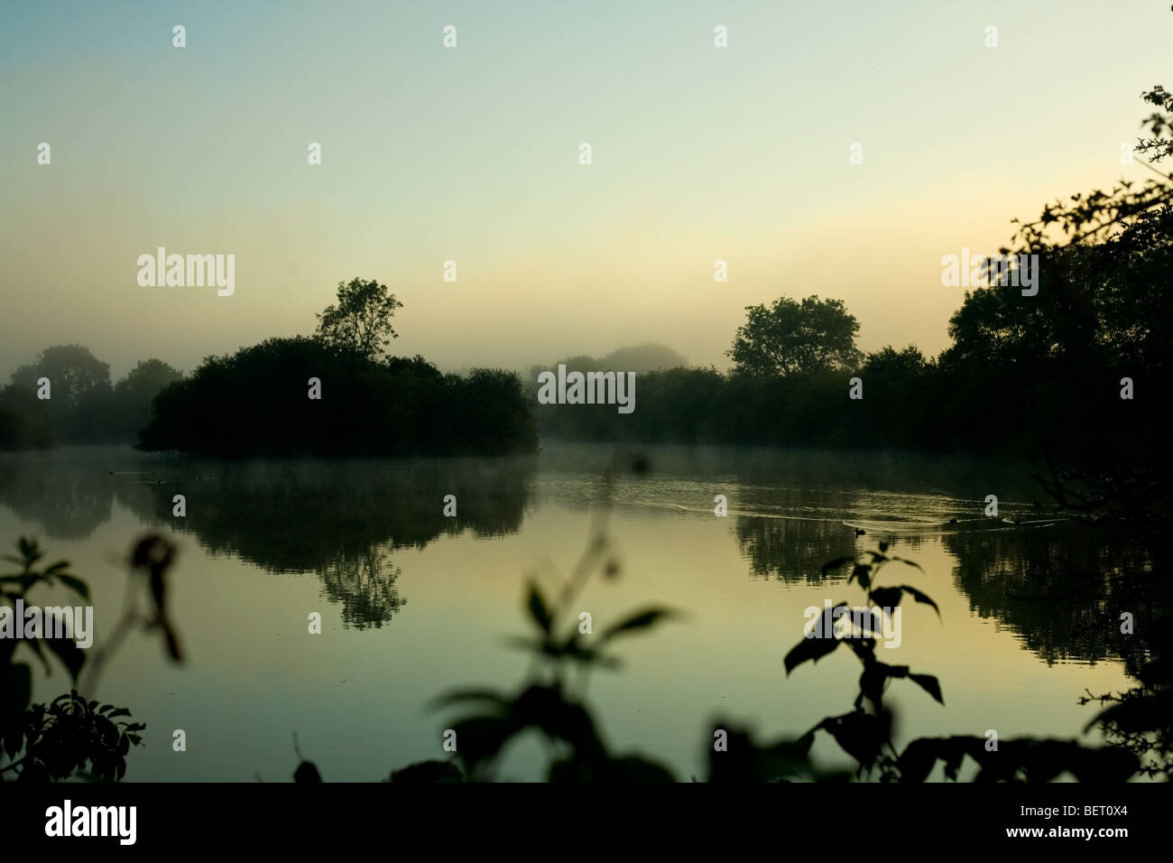Misty lagoon hi-res stock photography and images - Alamy