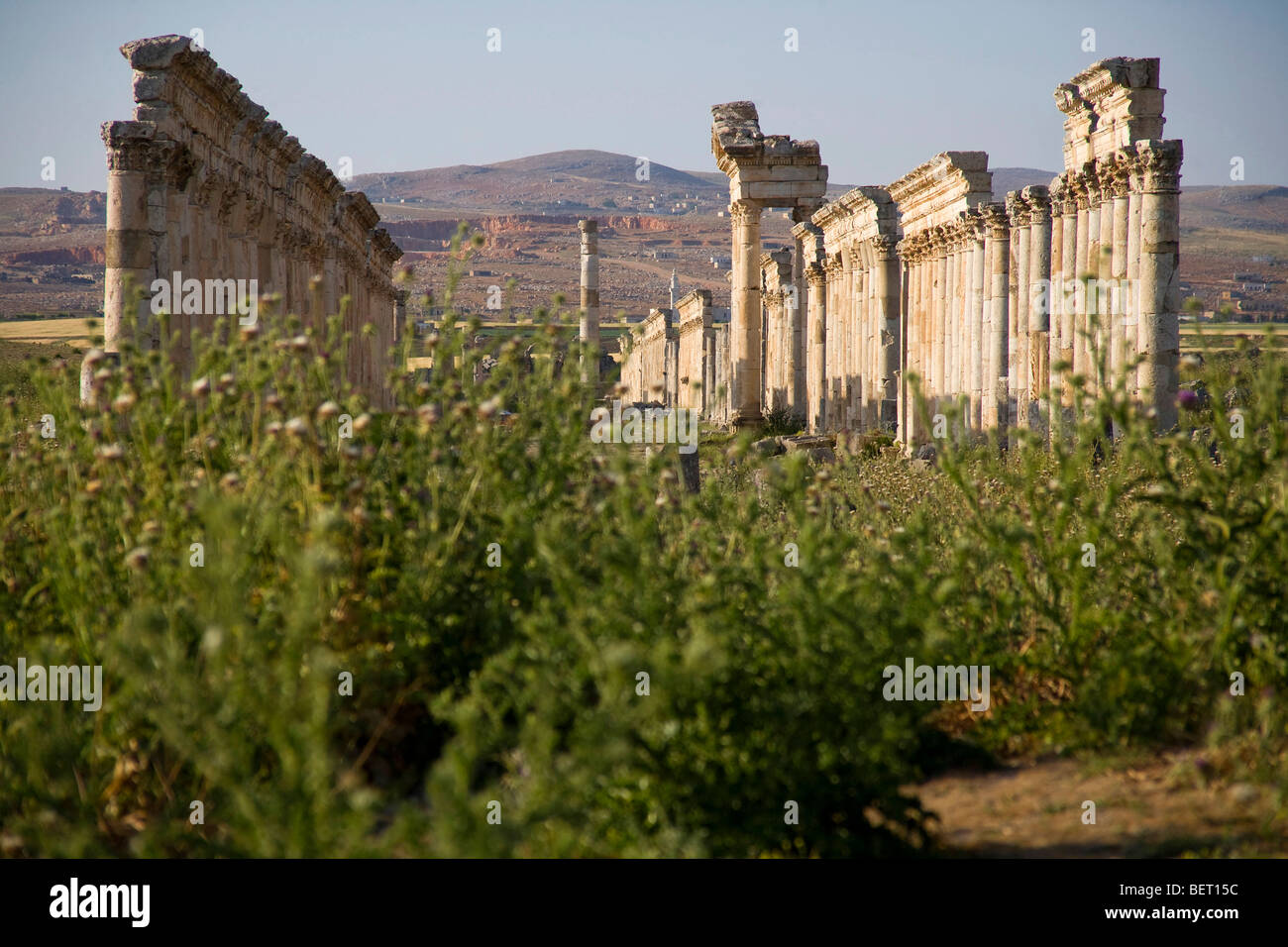 Roman ruins in the historic site of Apamea, Syria, Middle East, Asia ...