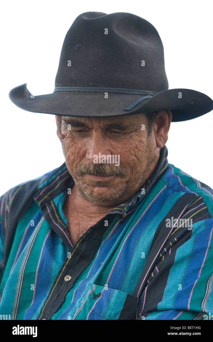 a cowboy looks on while rounding up cattle on a large ranch in southern ...