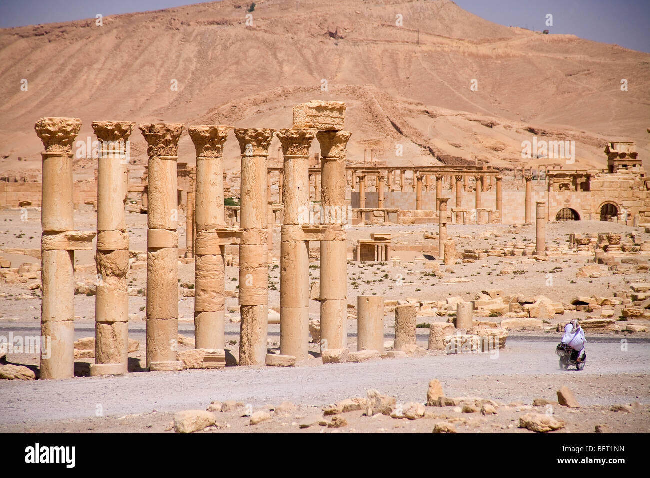 Roman ruins and archaeological site in Palmyra, Syria, Middle East ...