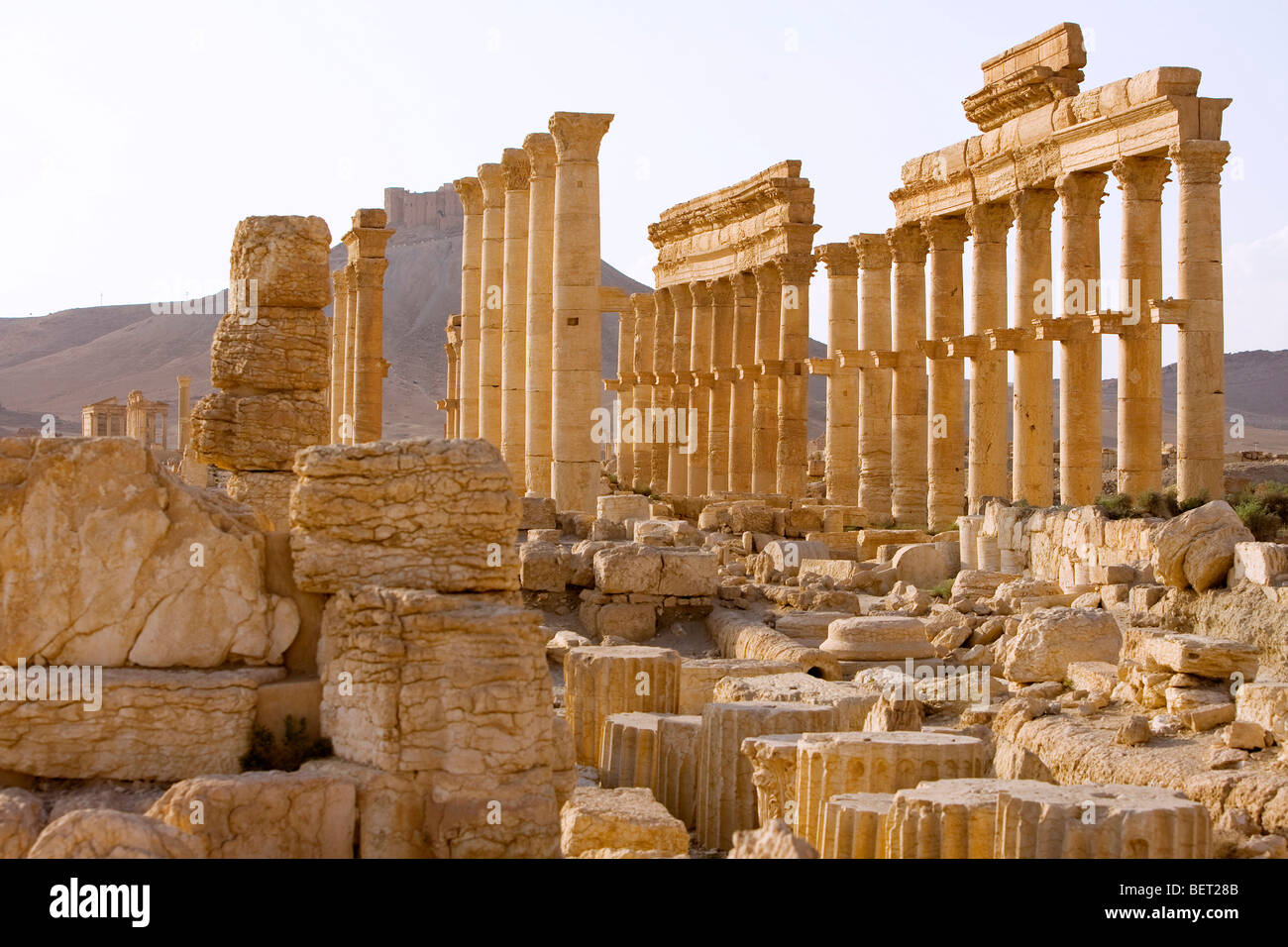 Roman ruins and archaeological site in the desert, Palmyra, Syria ...