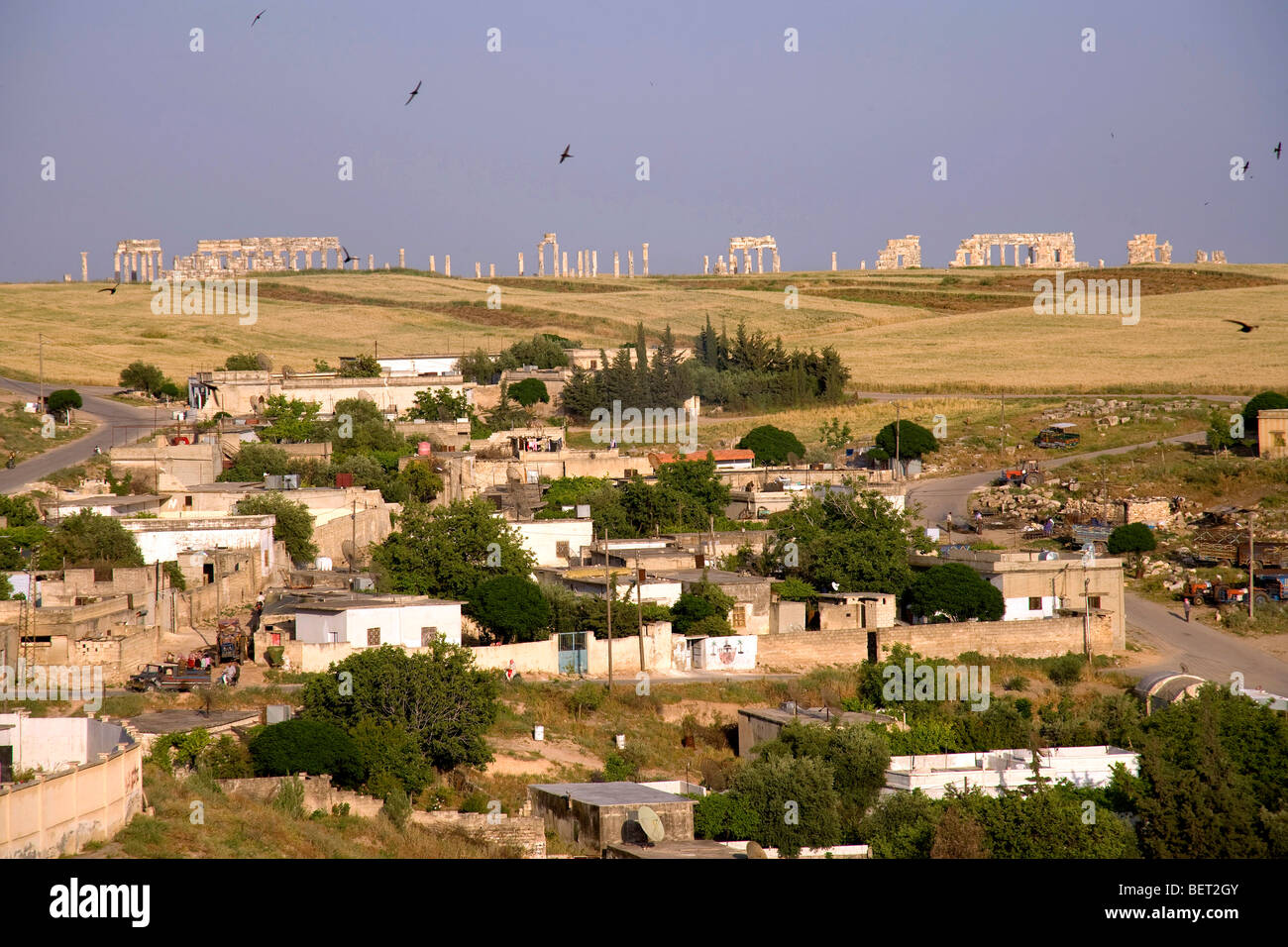 Roman ruins in the historic site of Apamea, Syria, Middle East, Asia ...