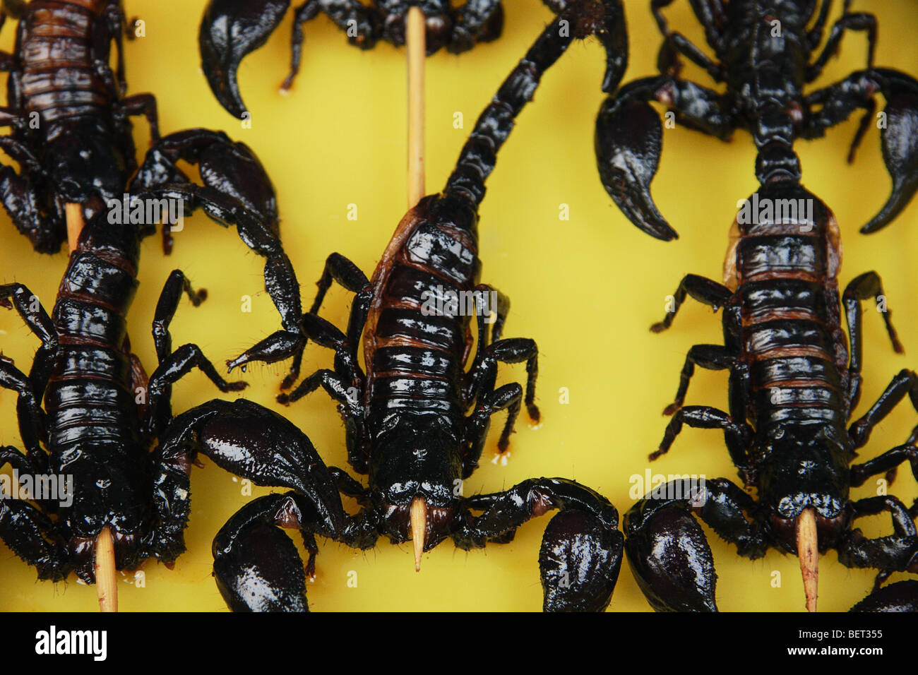 Scorpion street hi-res stock photography and images - Alamy