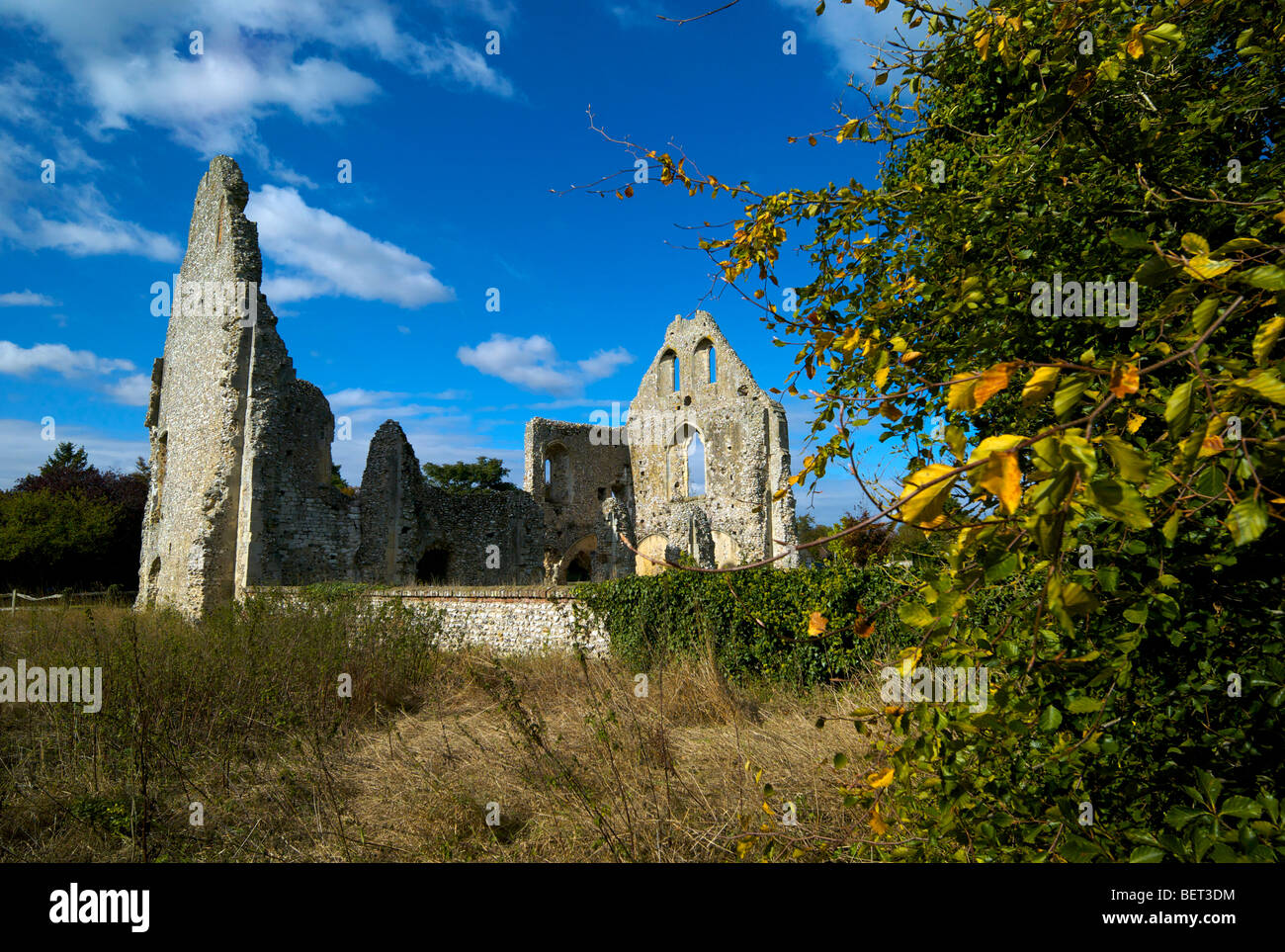 The ruins of Boxgrove Priory, a small priory built in Sussex near ...