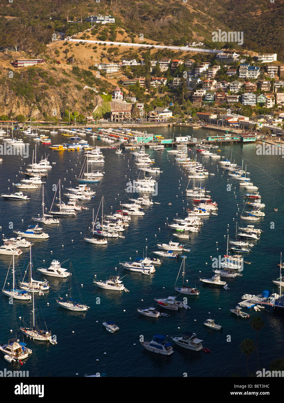 AVALON, CA, USA - Harbor and town of Avalon, Santa Catalina Island ...