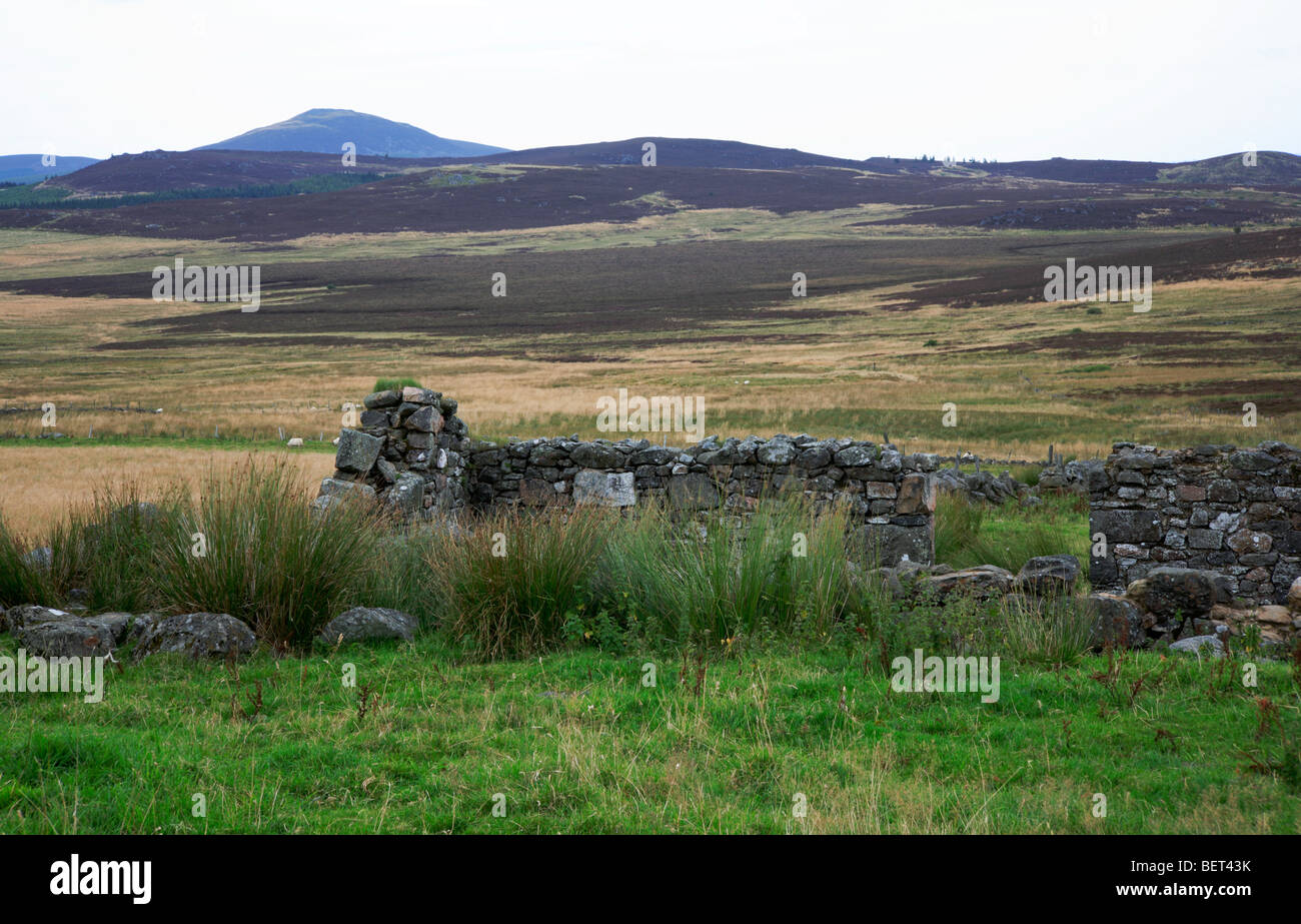 Remains of old croft in open moorland near Cabrach, Aberdeenshire ...