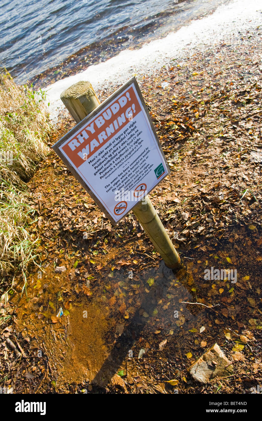 Warning sign used on Llyn Padarn Llanberis due to blue green algae in ...