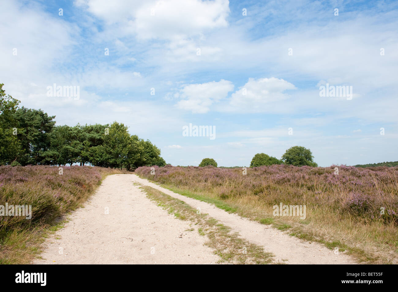 Heather moore hi-res stock photography and images - Alamy