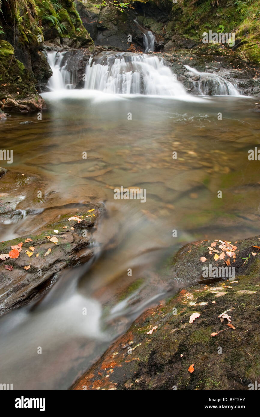 Flowing stream and waterfall in autumn Stock Photo - Alamy