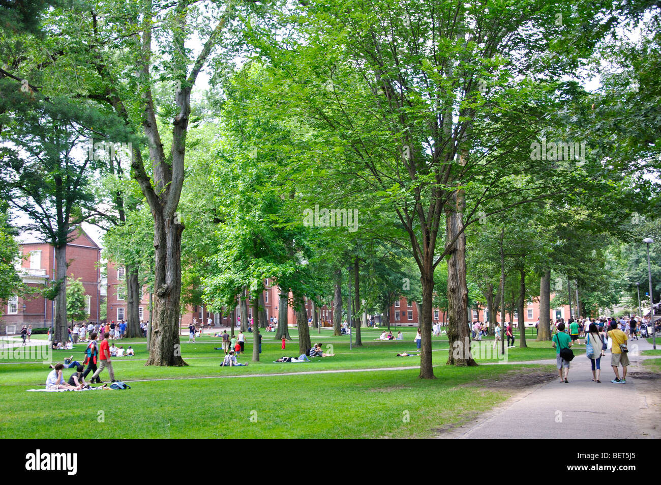 Harvard University campus in Cambridge, Massachusetts Stock Photo - Alamy