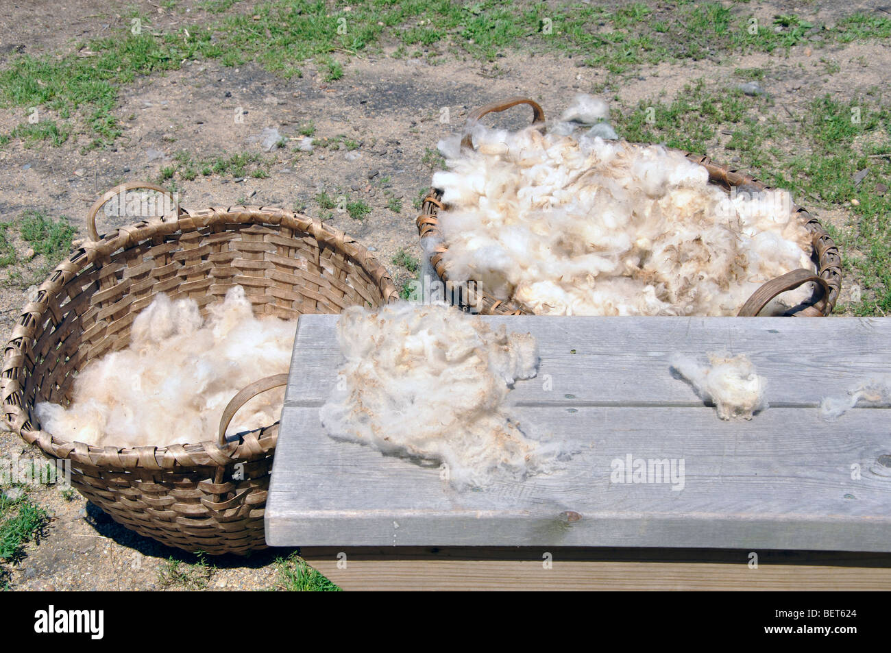 Raw sheep wool in basket Stock Photo - Alamy