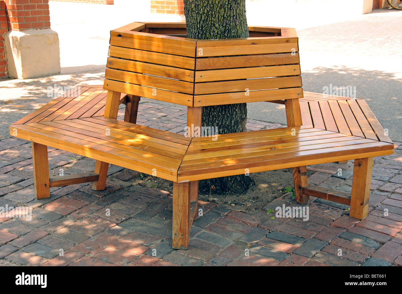 Bench wrapped around tree hi-res stock photography and images - Alamy