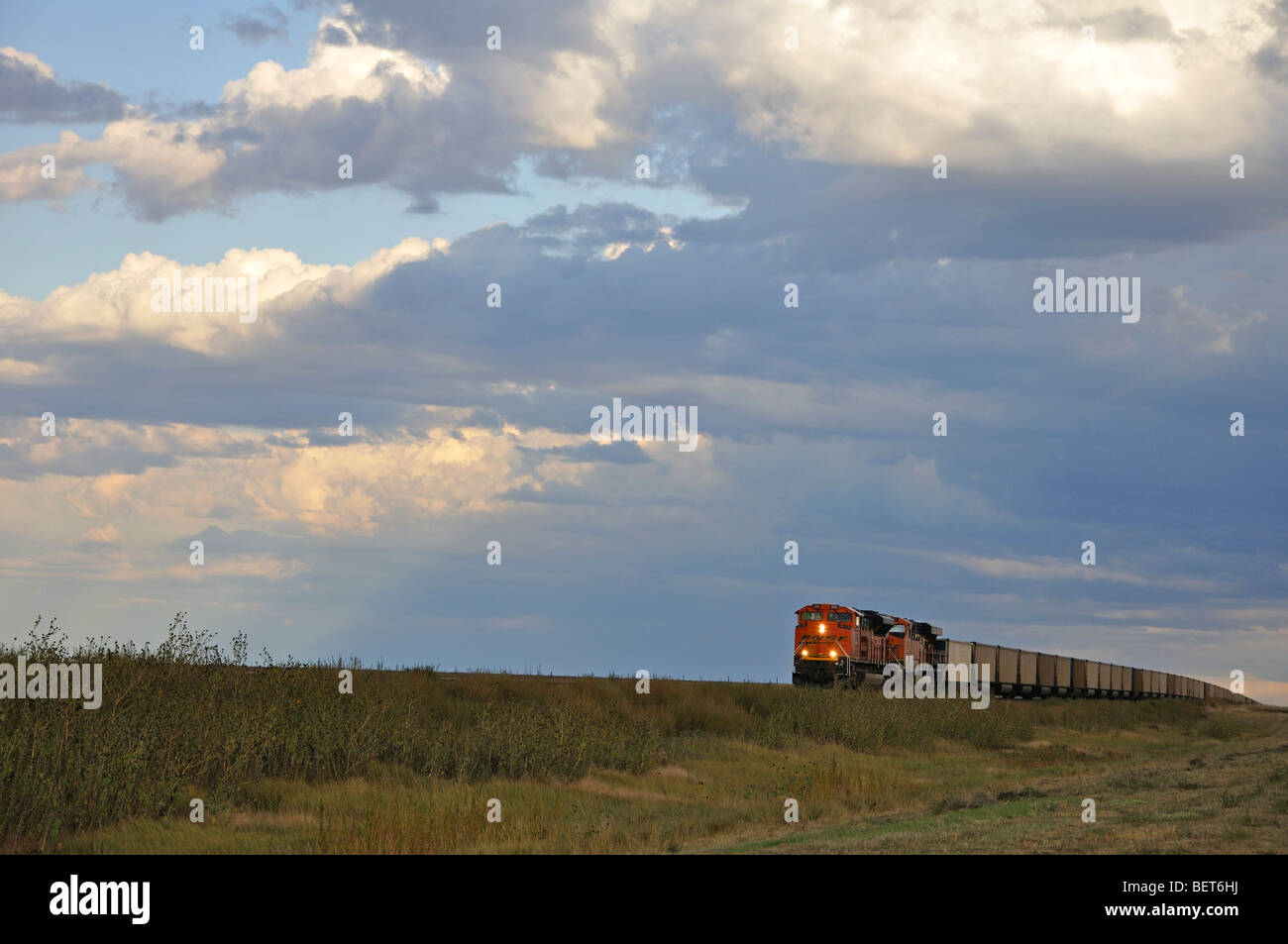 Freight train in rural Texas, USA Stock Photo - Alamy