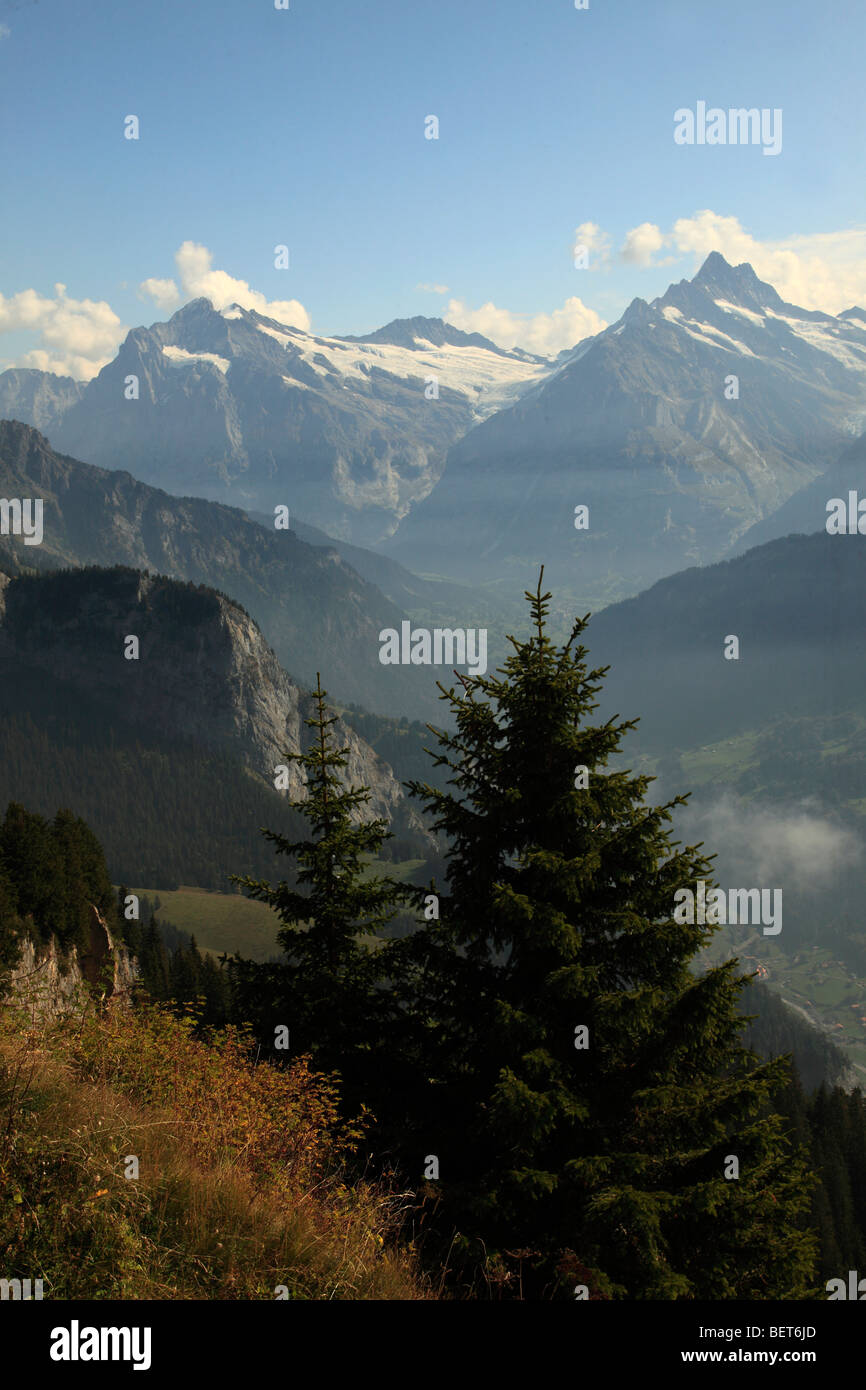 Bernese scenery hi-res stock photography and images - Alamy