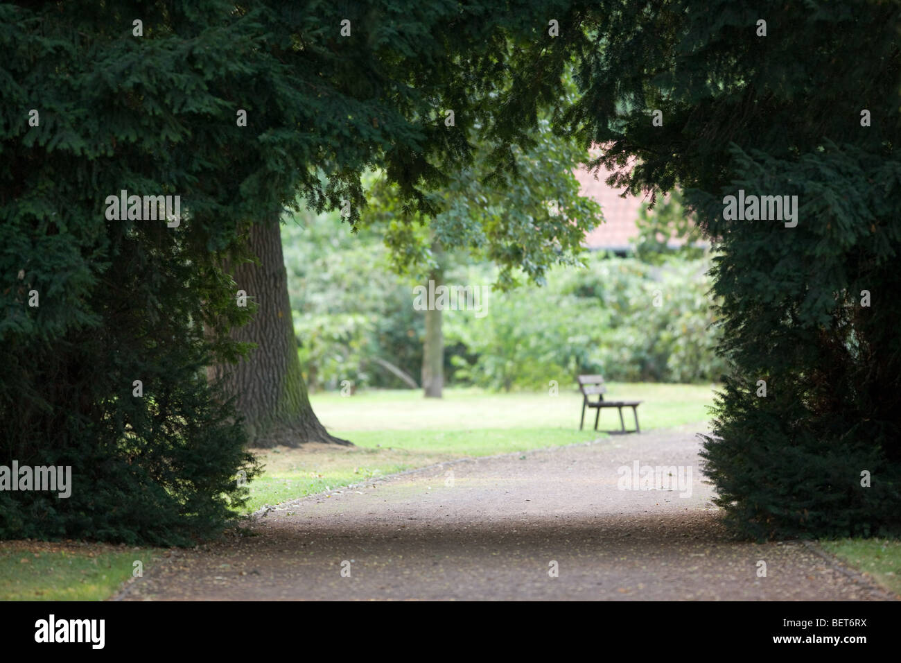 Portal tree hi-res stock photography and images - Alamy